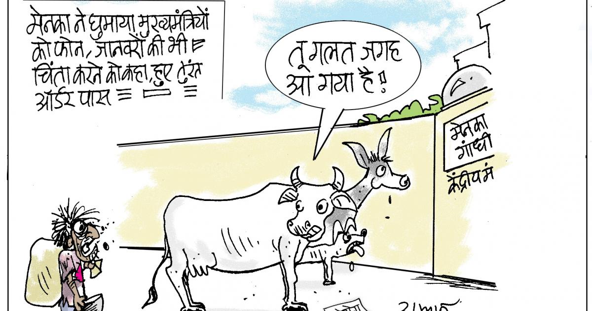 कार्टून क्लिक : काश! हम भी अगर...होते, खाने को मिलते... | न्यूज़क्लिक